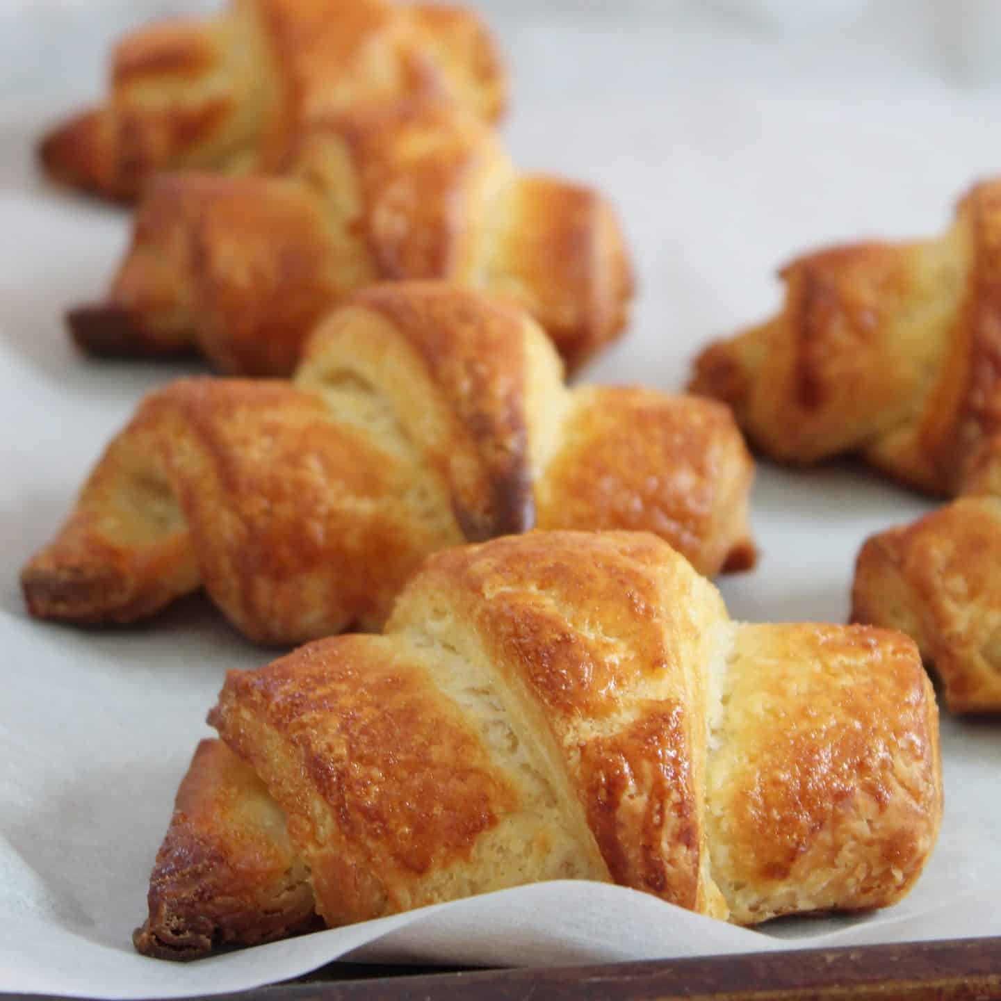 Gluten Free Croissants - Homemade Gluten Free Croissant Recipe