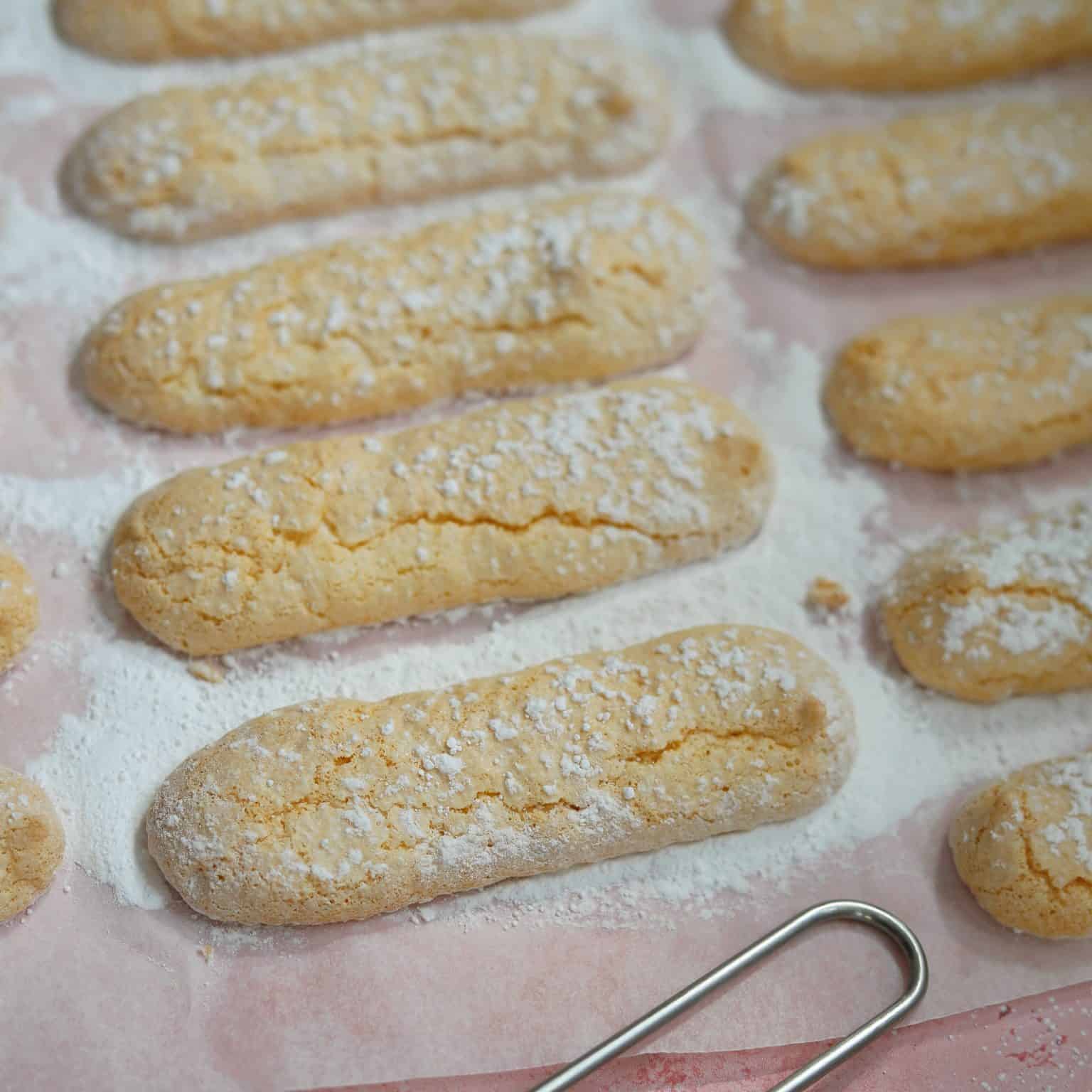 Gluten Free Lady Fingers (Sponge Fingers) - Dairy Free