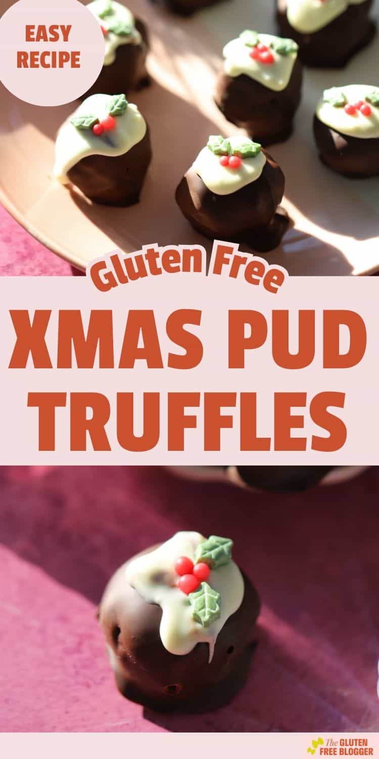 Christmas Pudding Truffles {Gluten Free}