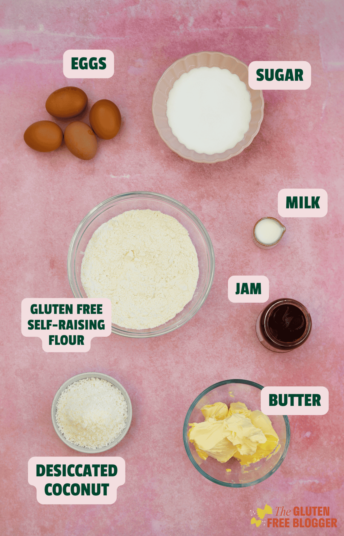 Jam and Coconut Sponge {Gluten Free}