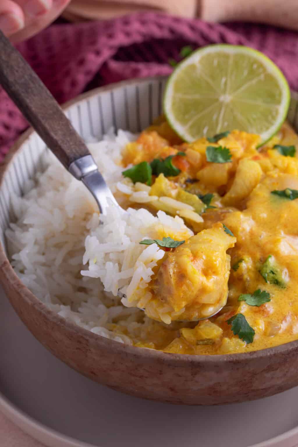 Fish Curry {Gluten and Dairy Free}